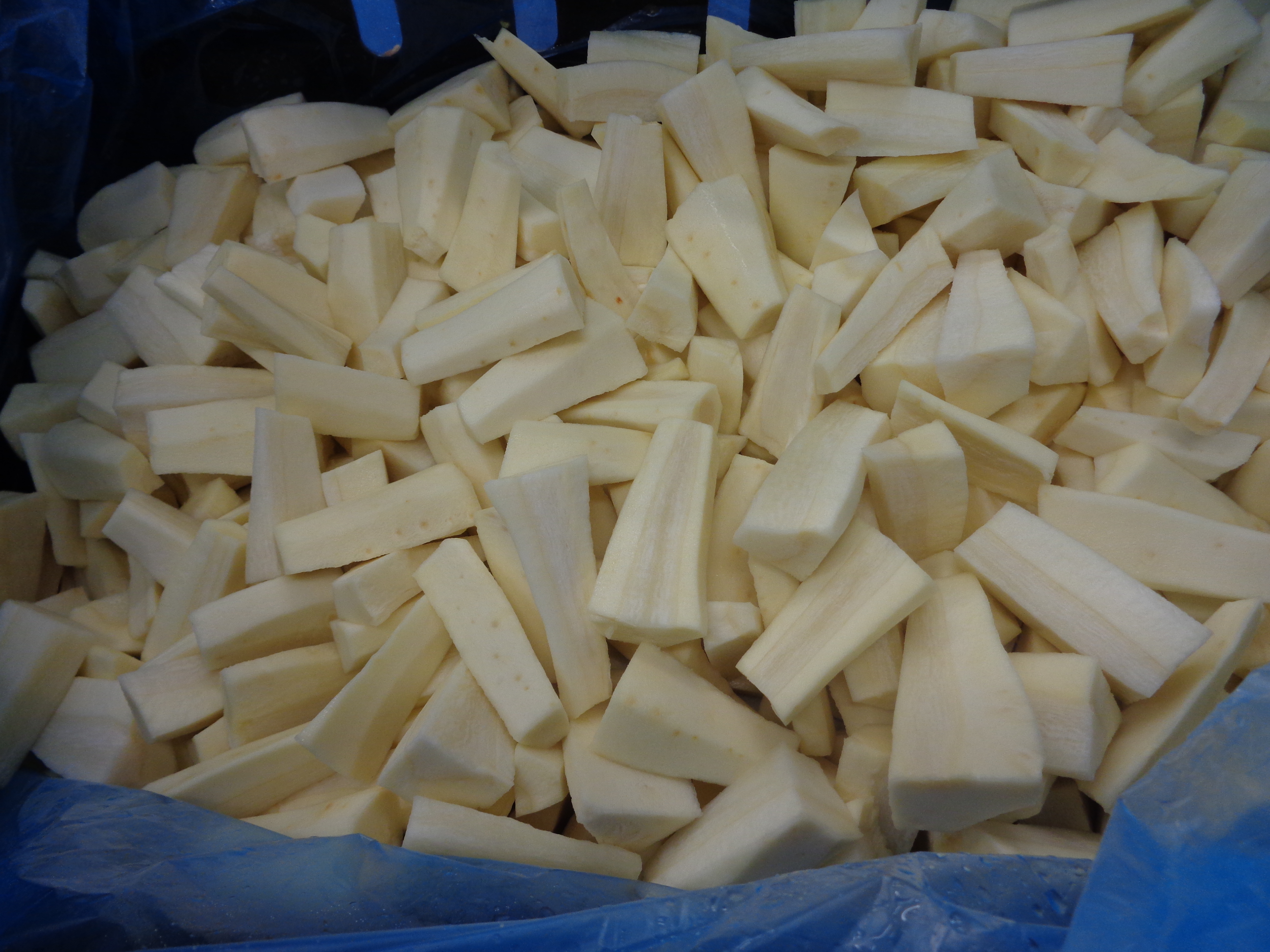 Parsnip Cutting & Segmenting | Winyard Engineering